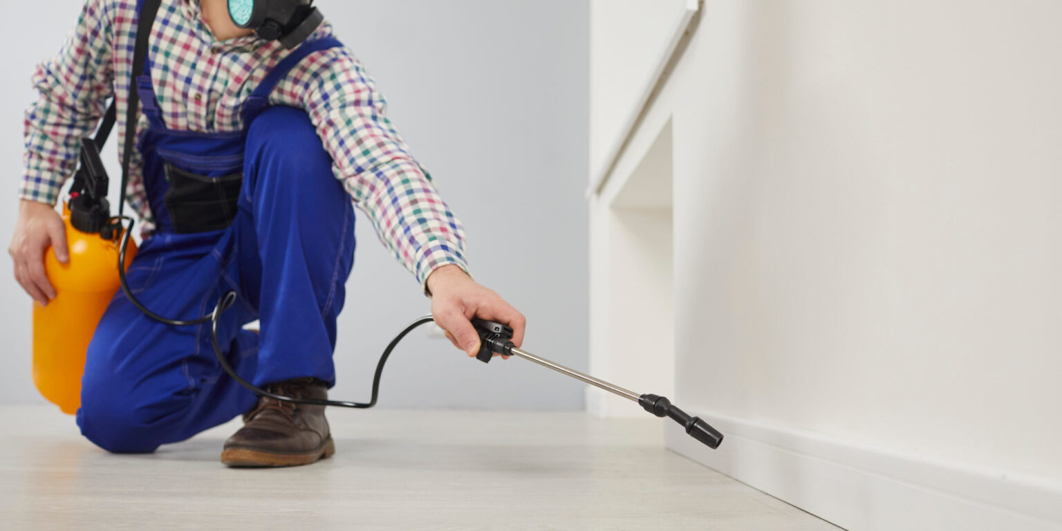 Termite treatment - Indian Pest Control Solutions Qatar